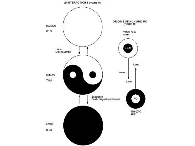 What is Chi or Qi in Taoist Beliefs | Tech Preview,Tech,Science ...